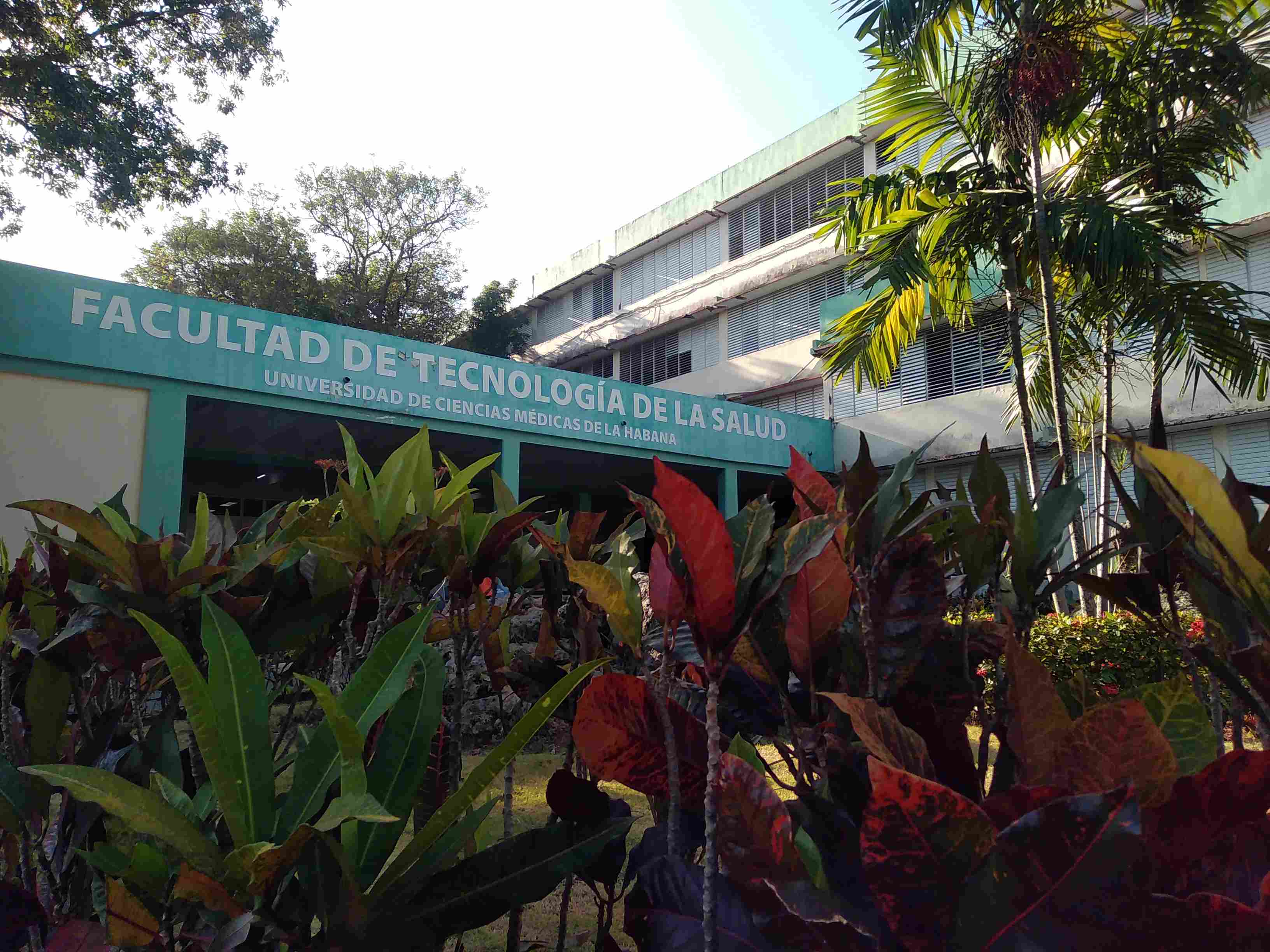 Aula Virtual de Salud: Pregrado